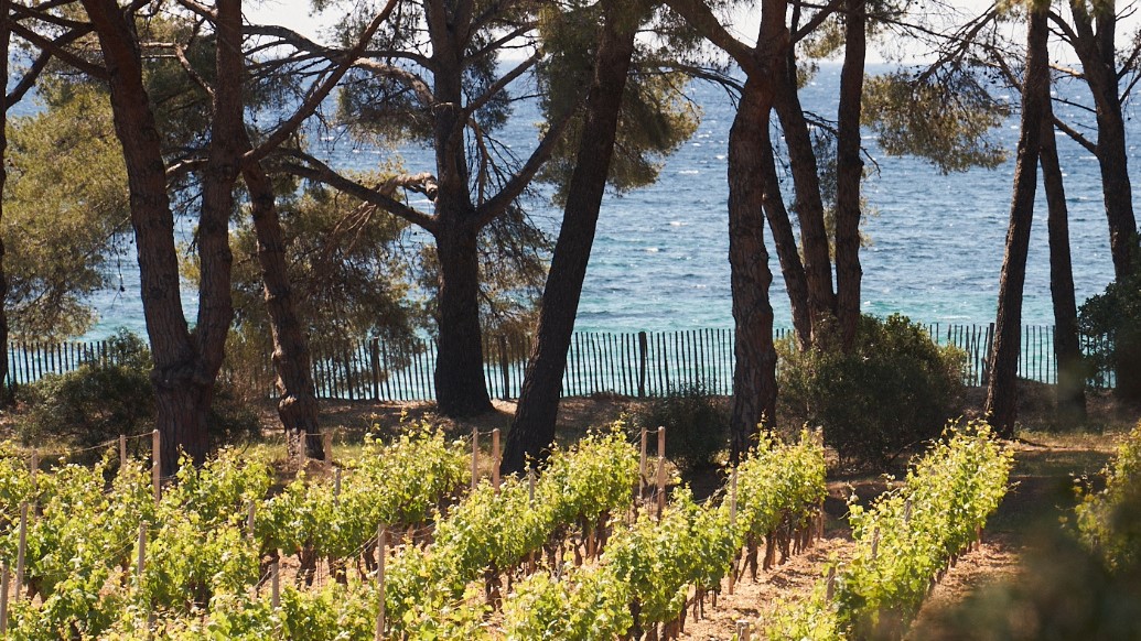 Clos Mireille, the peak of Provençal rosé